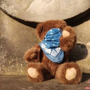Protector Teddy Bear Blue Mask Scarf Fully Jointed Vintage - Etsy UK