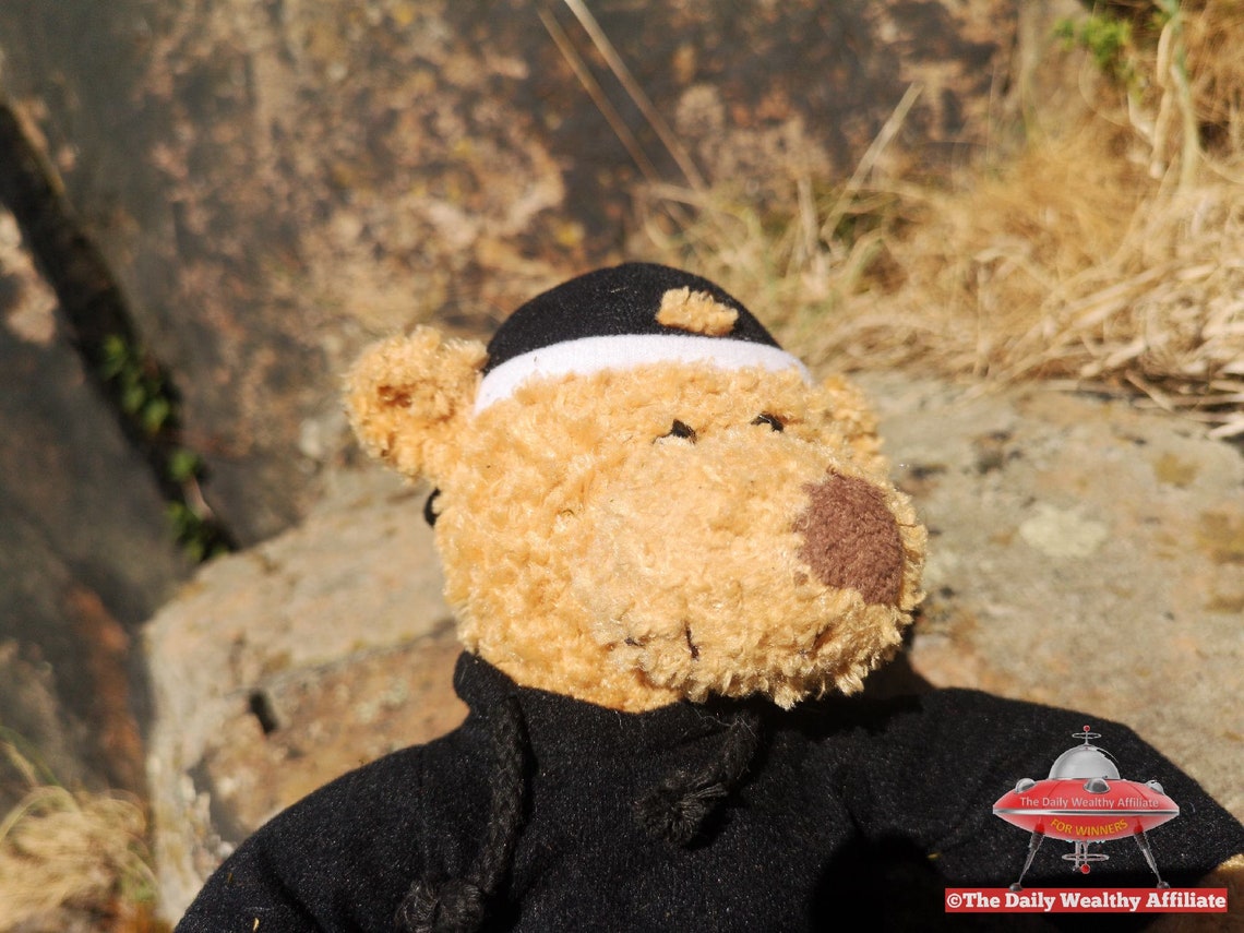 Rude Boy Teddy Bear RARE - Etsy UK