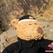 Rude Boy Teddy Bear RARE - Etsy UK