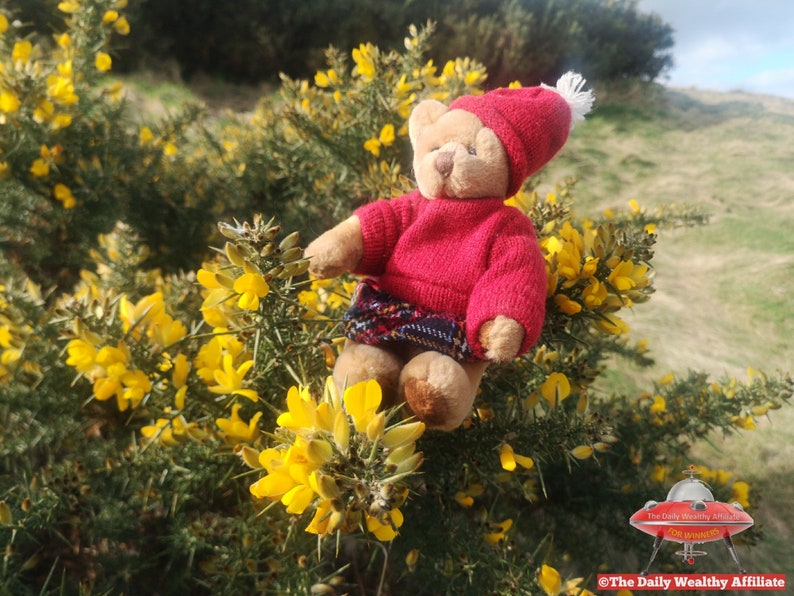 Russ Berrie Benji Bears Teddy Bear Vintage - Etsy