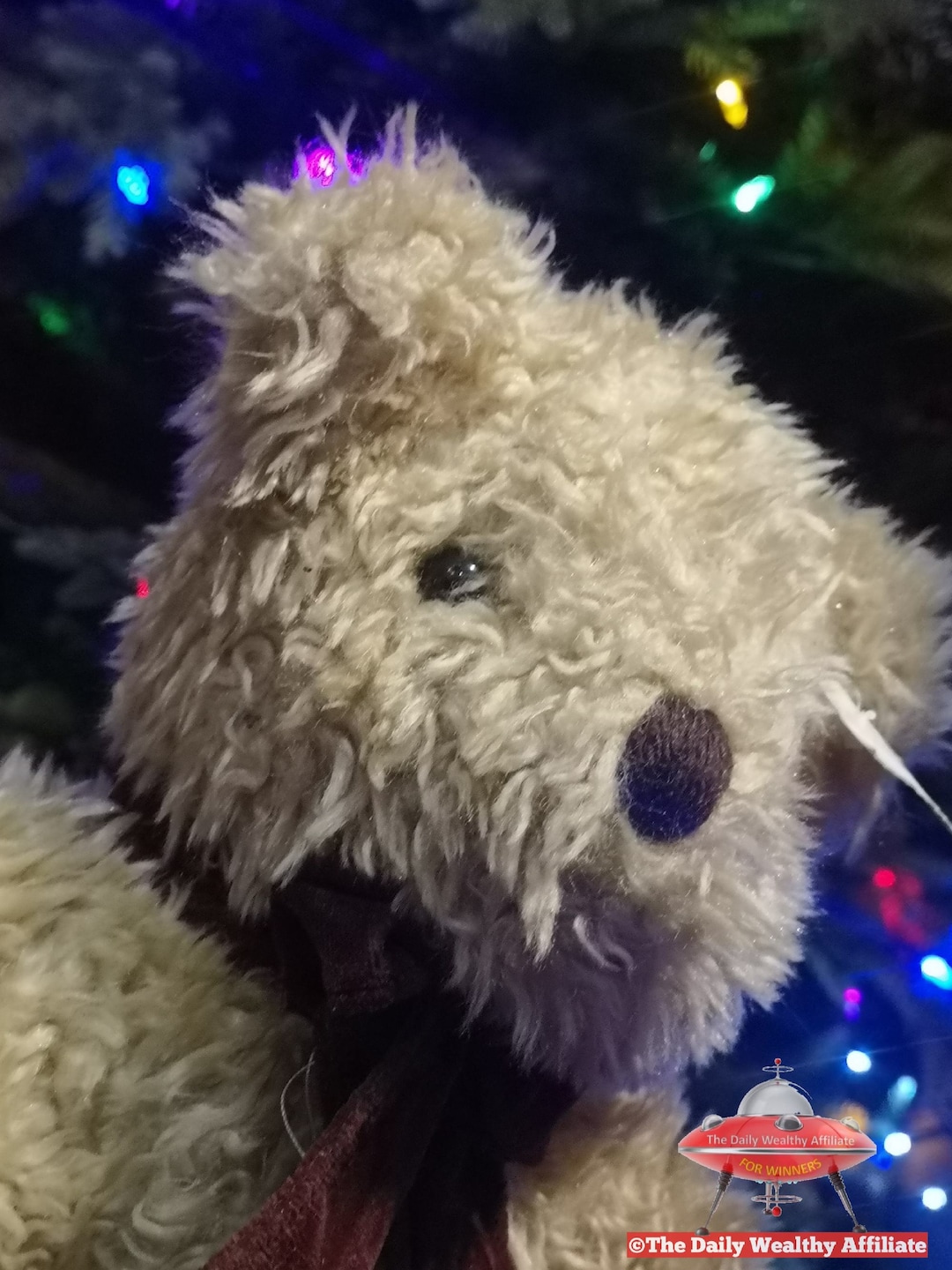 La Senza Schubert Teddy Bear 1997 Collectable Vintage - Etsy