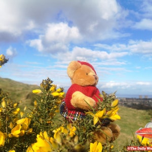 Russ Berrie Benji Bears Teddy Bear Vintage - Etsy UK