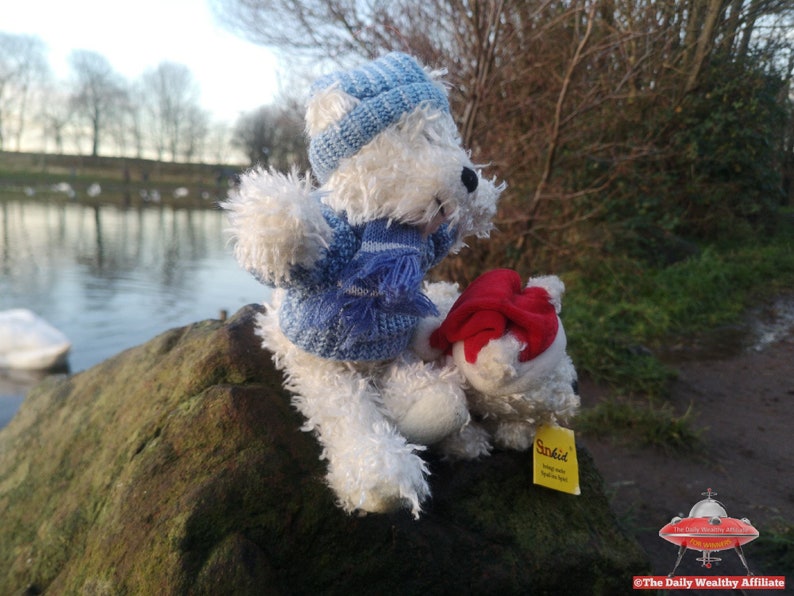 2 X Sunkid Winter Teddy Bear Germany Vintage - Etsy