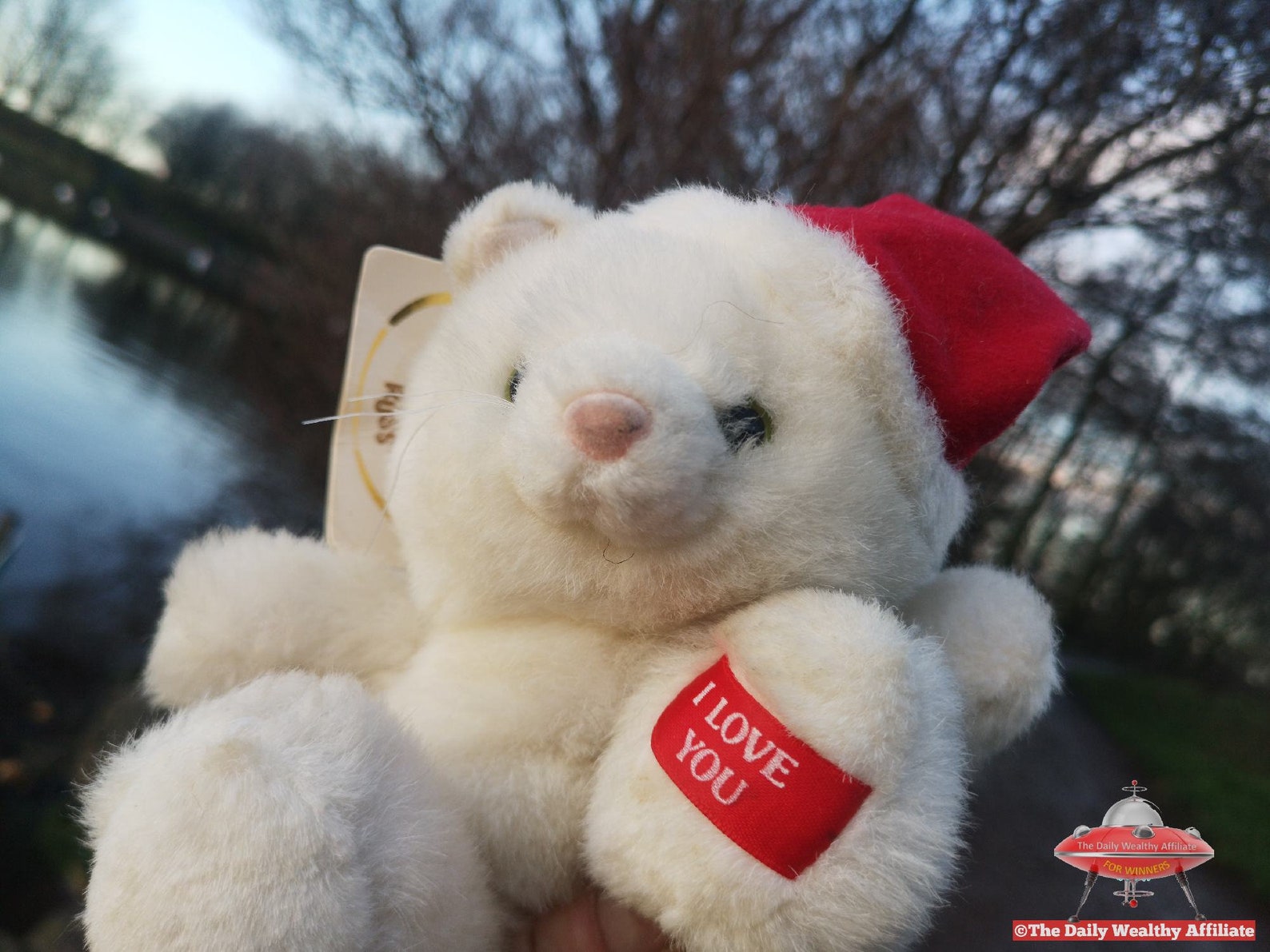 Russ Berrie Cat I Love You Winter White Pussycat Caress Soft | Etsy