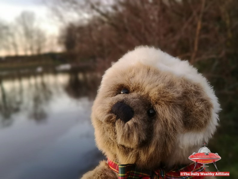 Isabelle Collection Bear Studio Winter Christmas Collectible - Etsy UK