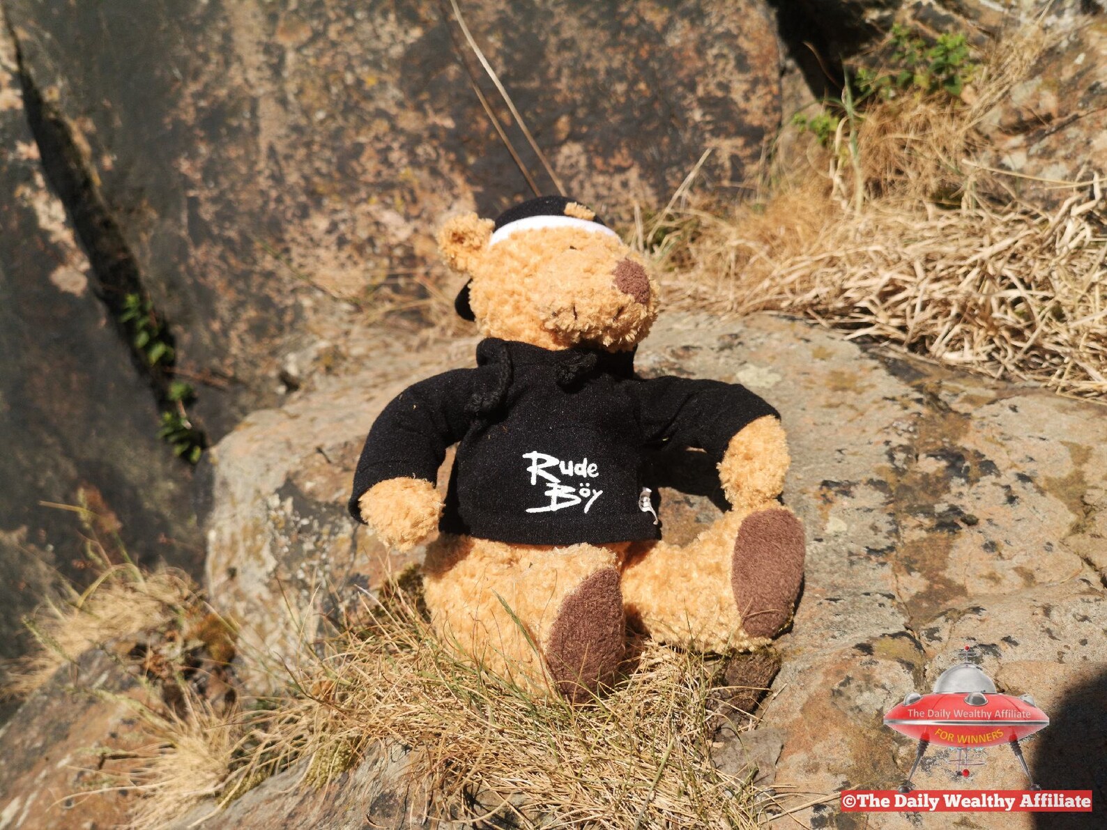 Rude Boy Teddy Bear RARE - Etsy UK