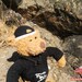 Rude Boy Teddy Bear RARE - Etsy UK