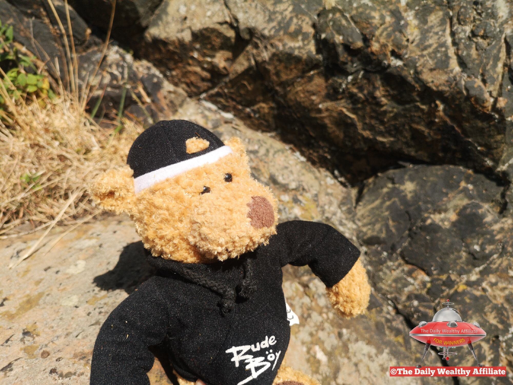 Rude Boy Teddy Bear RARE | Etsy