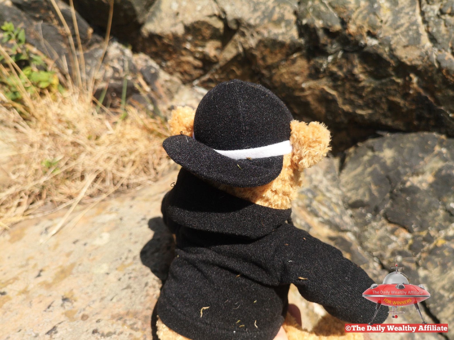 Rude Boy Teddy Bear RARE - Etsy UK