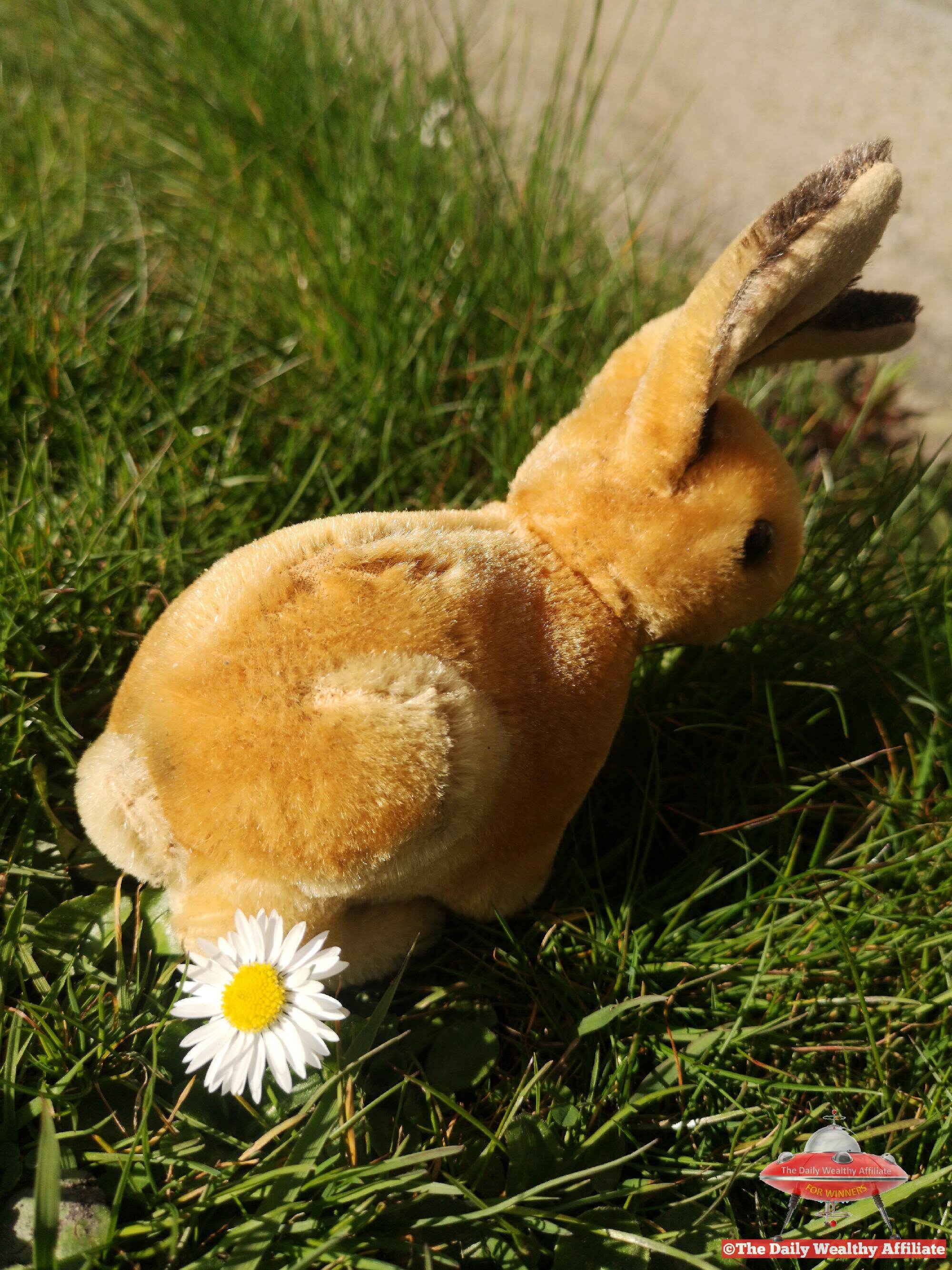 Steiff Rabbit Bunny Made in West Germany Jointed Head Vintage | Etsy