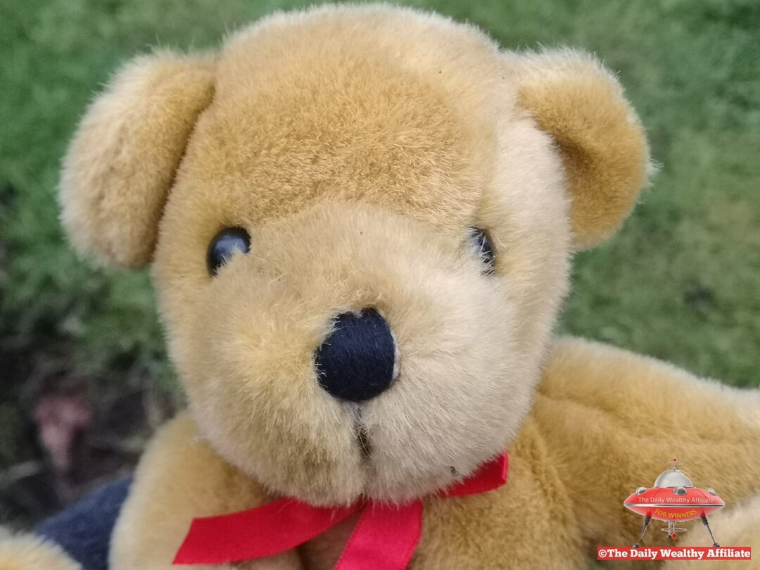 Teddy Hermann Teddy Bear Germany Vintage - Etsy