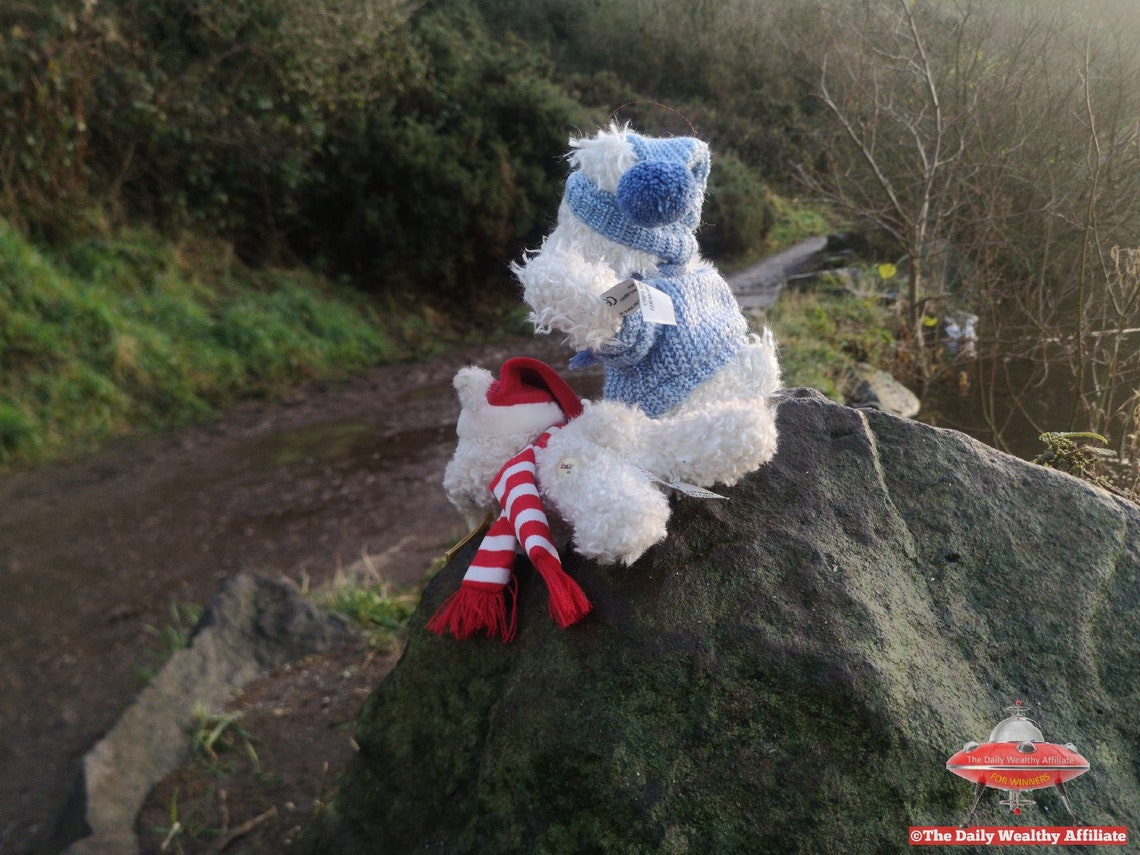 2 X Sunkid Winter Teddy Bear Germany Vintage | Etsy