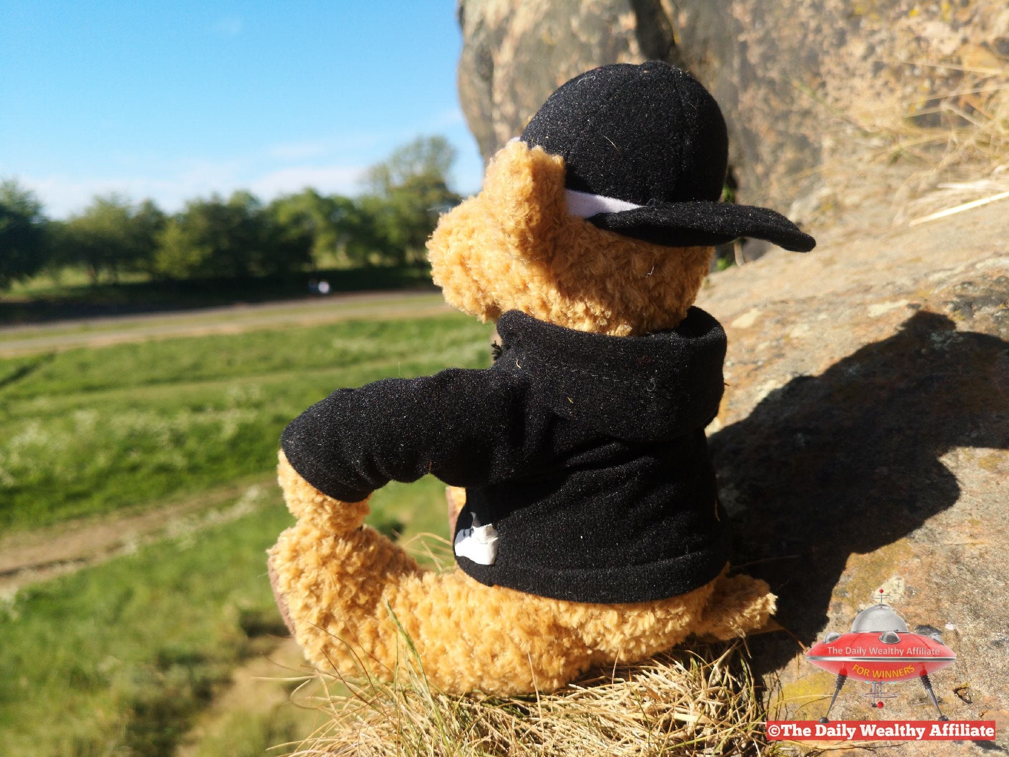 Rude Boy Teddy Bear RARE - Etsy UK