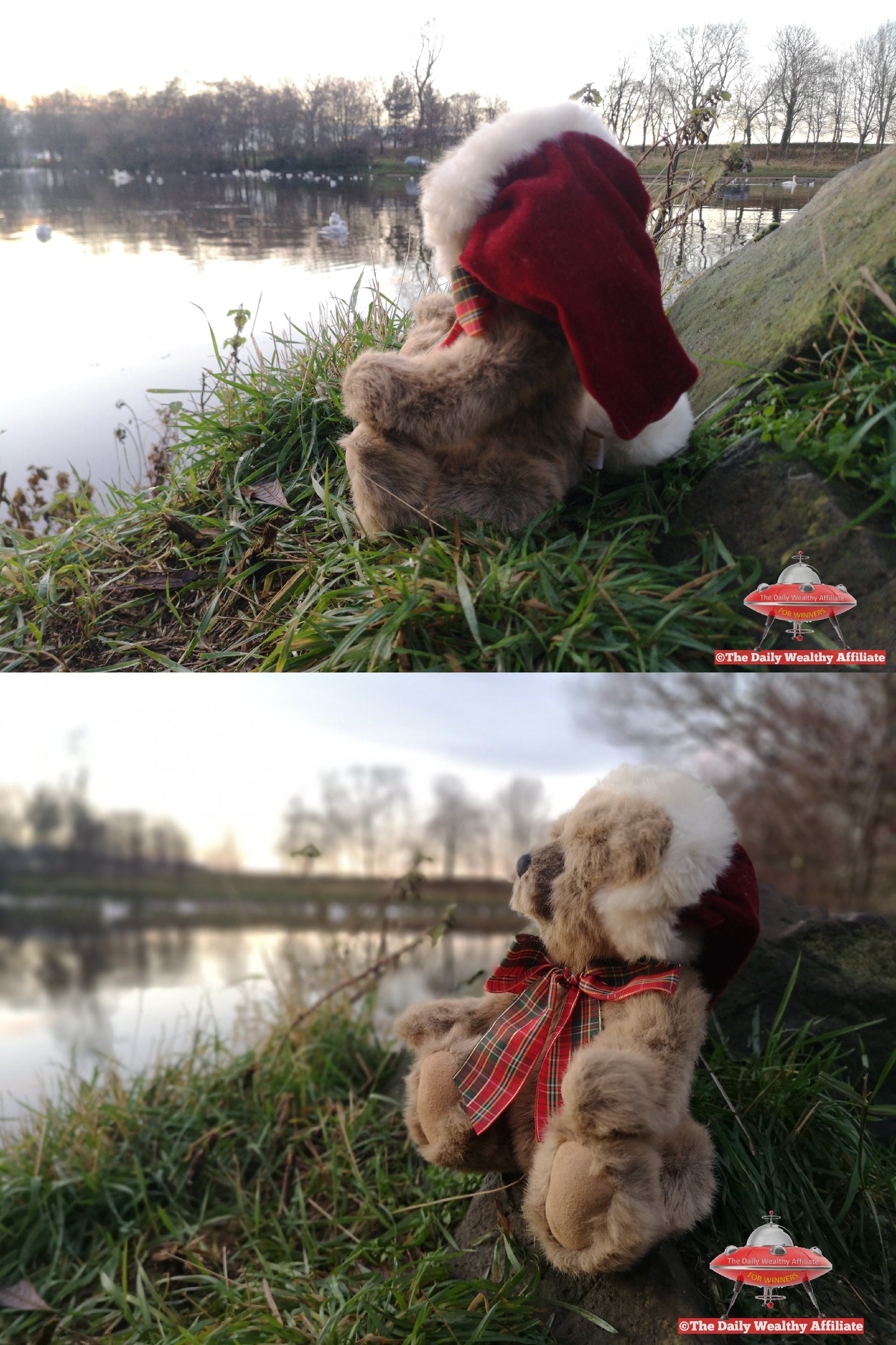 Isabelle Collection Bear Studio Winter Christmas Collectible - Etsy UK