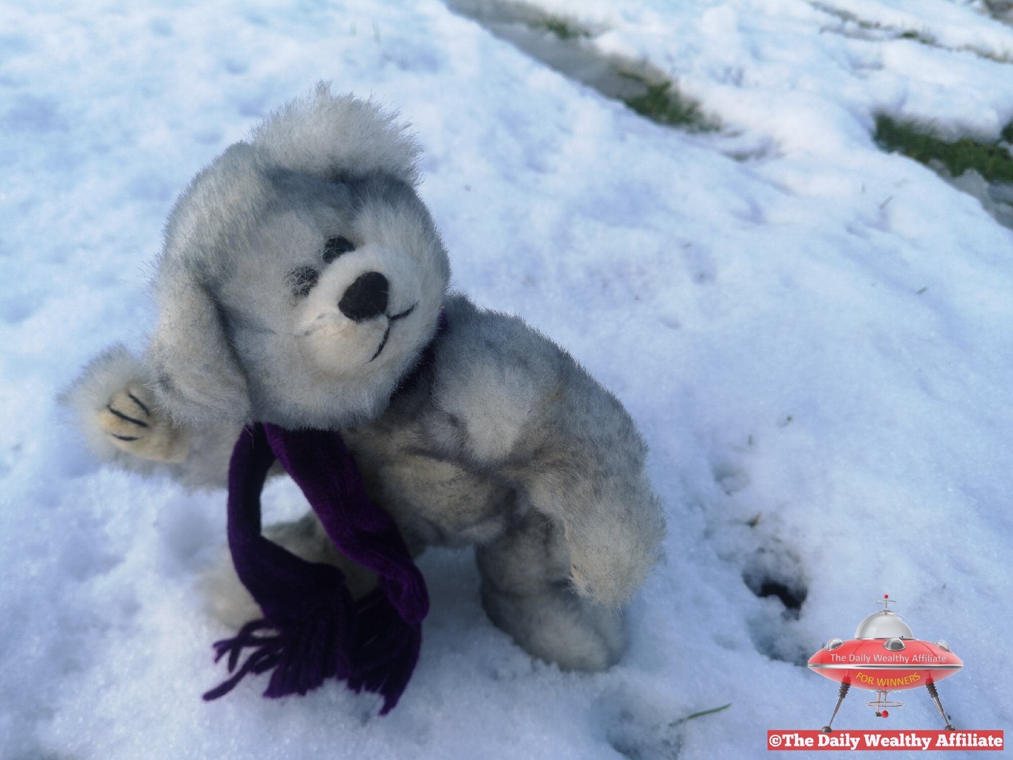 Husky Polar Teddy Bear Fully Jointed Winter Adorable Vintage | Etsy