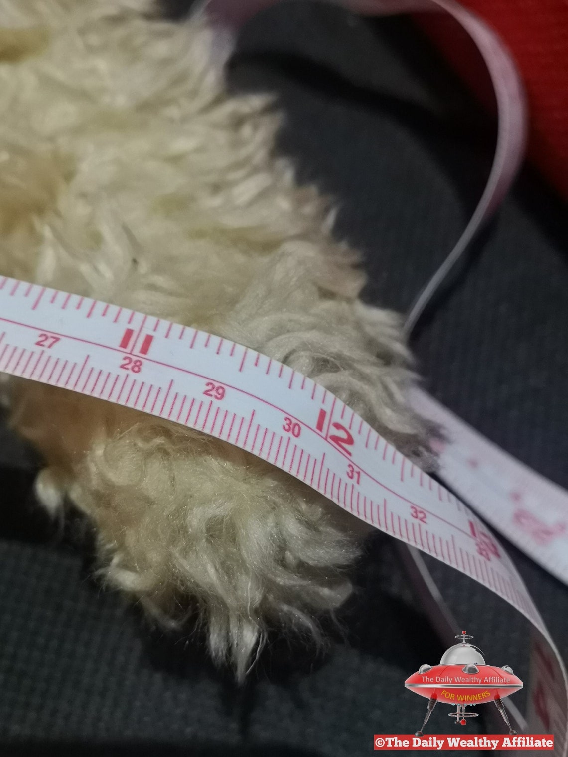 La Senza Schubert Teddy Bear 1997 Collectable Vintage | Etsy