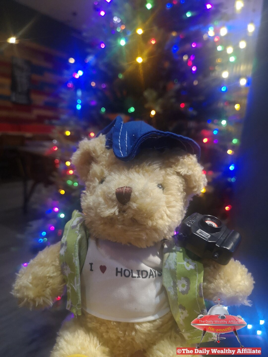 Terry the Tourist Teddy Bear Collection - Etsy