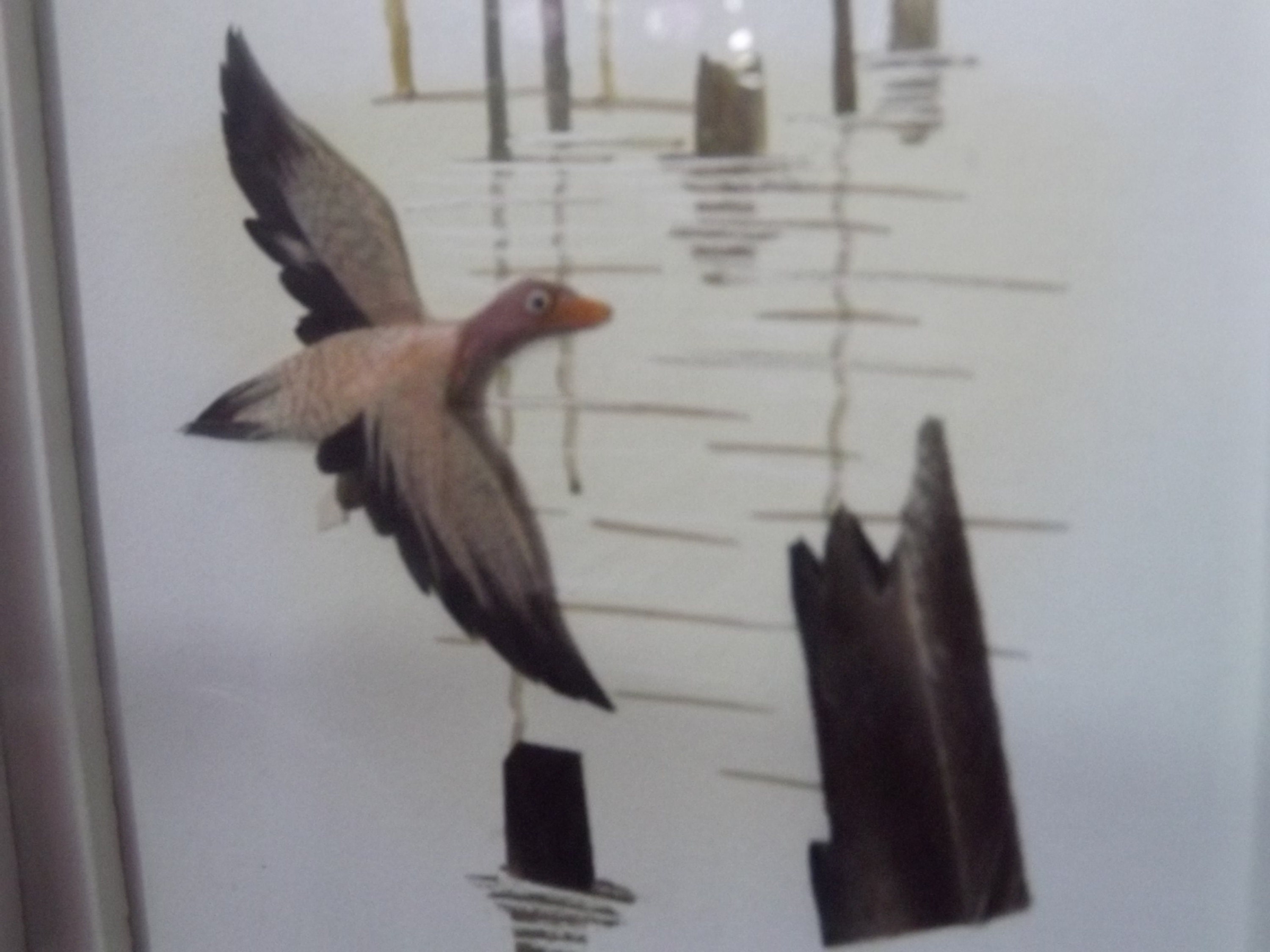 Vintage French Feather Art Nature Framed Landscape - Framed Real ...