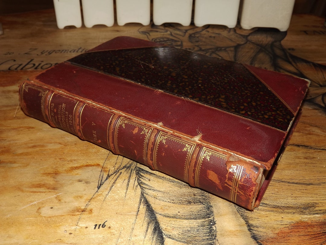 Rare Antique French Book 1900 Paris Great World Exhibition - Rapport ...