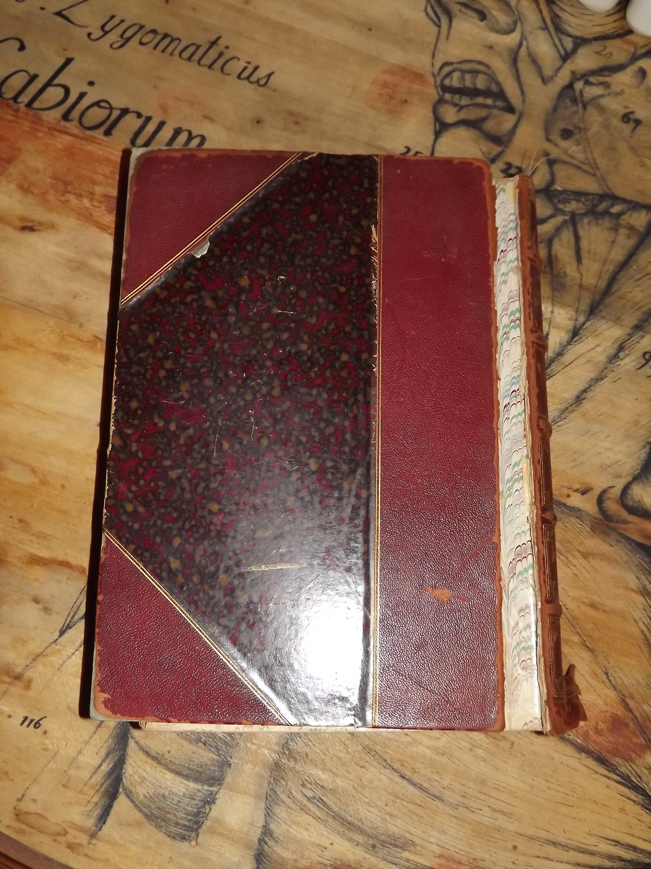 Rare Antique French Book 1900 Paris Great World Exhibition - Rapport ...