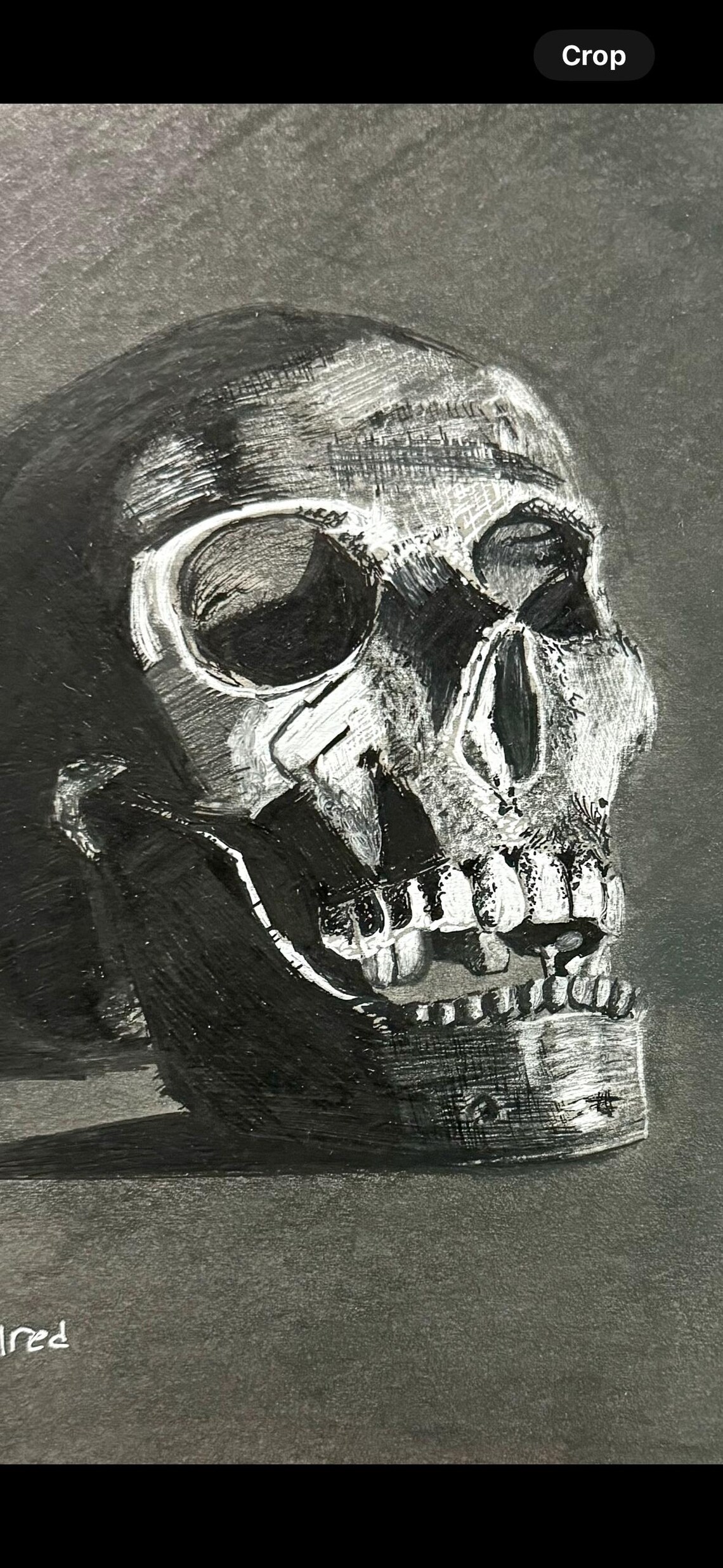 Original Art Ink & Graphite Skull Drawing Artwork Size 9”x11” , Skull ...