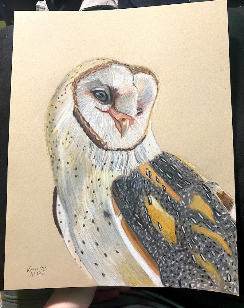 Original Art Owl Colored Pencil Drawing on Tan Toned Paper Size 11”x14 ...
