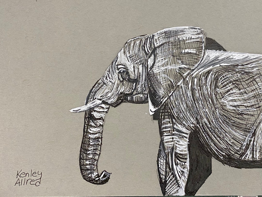 Original Art Elephant Ink Drawing Artwork Size 6x8 - Etsy