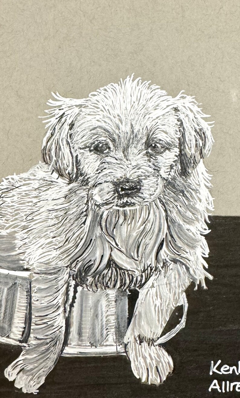 Original Art Golden Retriever Puppy Dog Ink Drawing Size 6x8 Artwork - Etsy