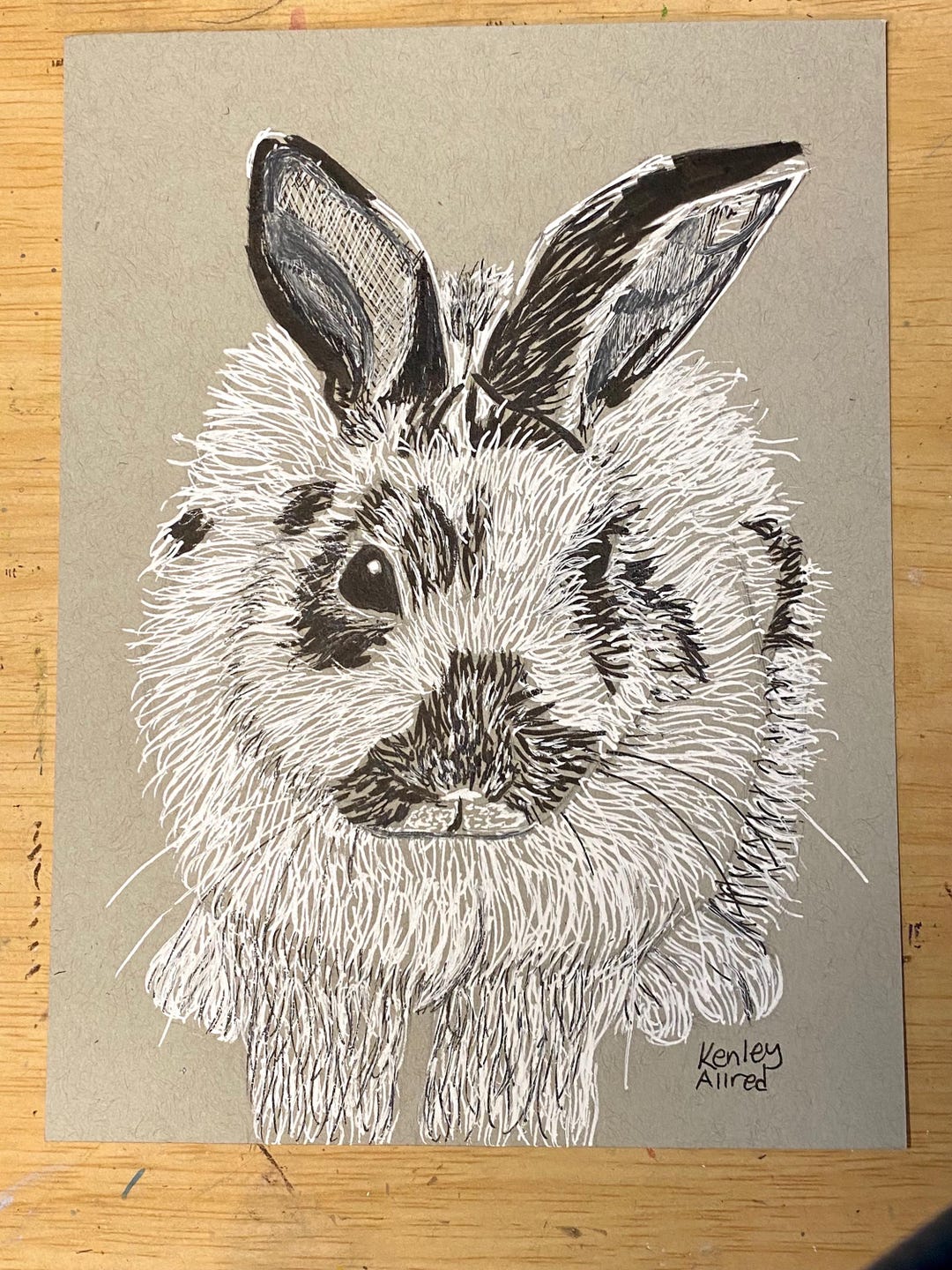 Original Art Bunny Rabbit Ink Drawing Size 6”x8” Artwork - Etsy