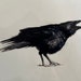Inky Crow 8 X 8" Giclee Print - Etsy
