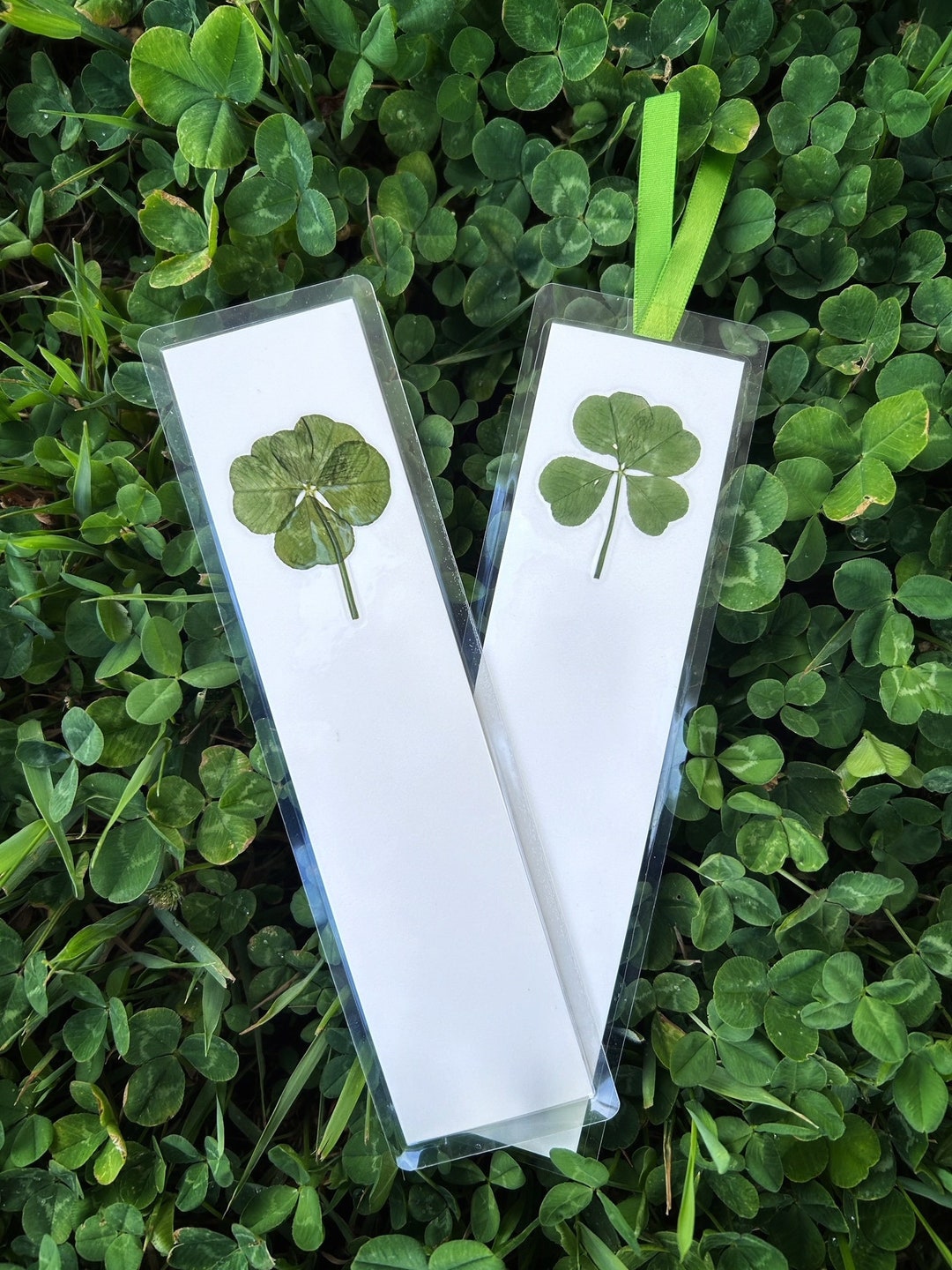 Real Four-leaf Clover Bookmark - Etsy