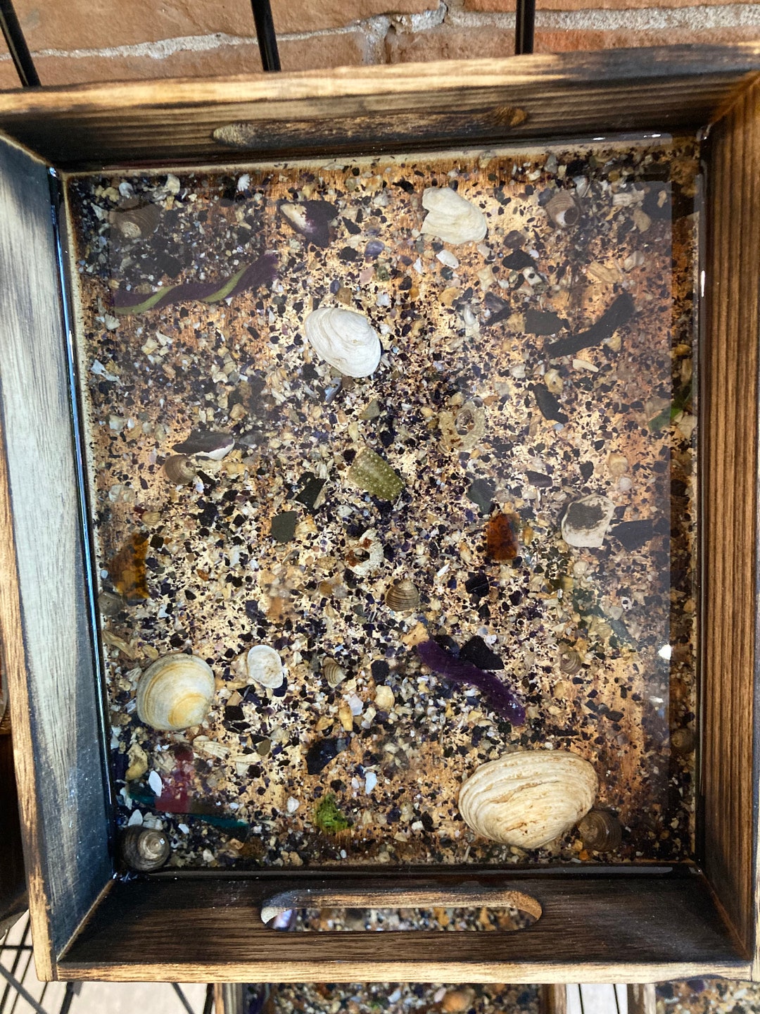 Hide N Seek Ocean Game for 1 to 6 Players, What Can You Find, Sea ...