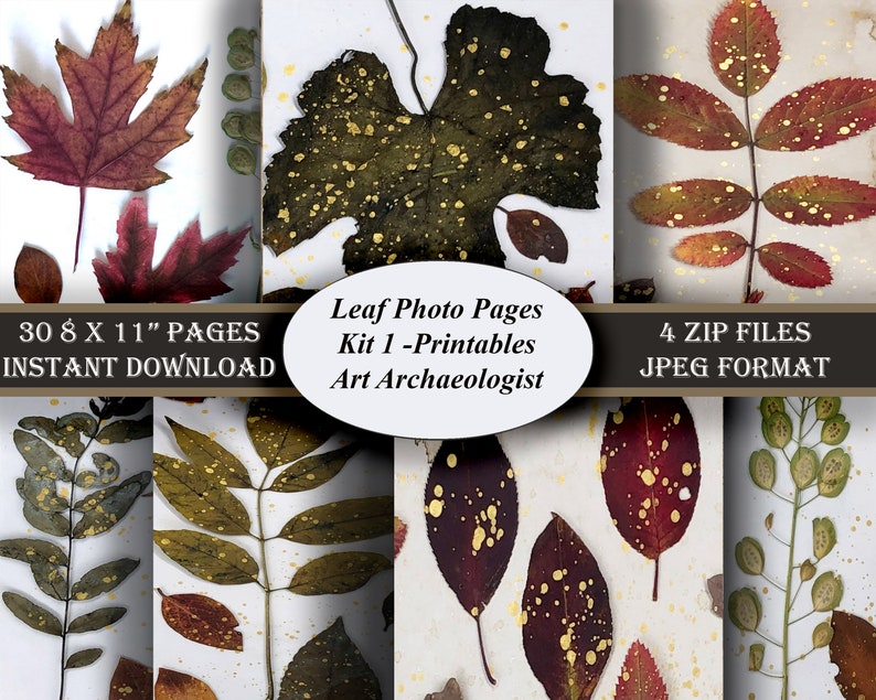 Pressed Leaf Printables. Leaf Photo Pages Kit 1. 30 - 8 X 11" Printable ...