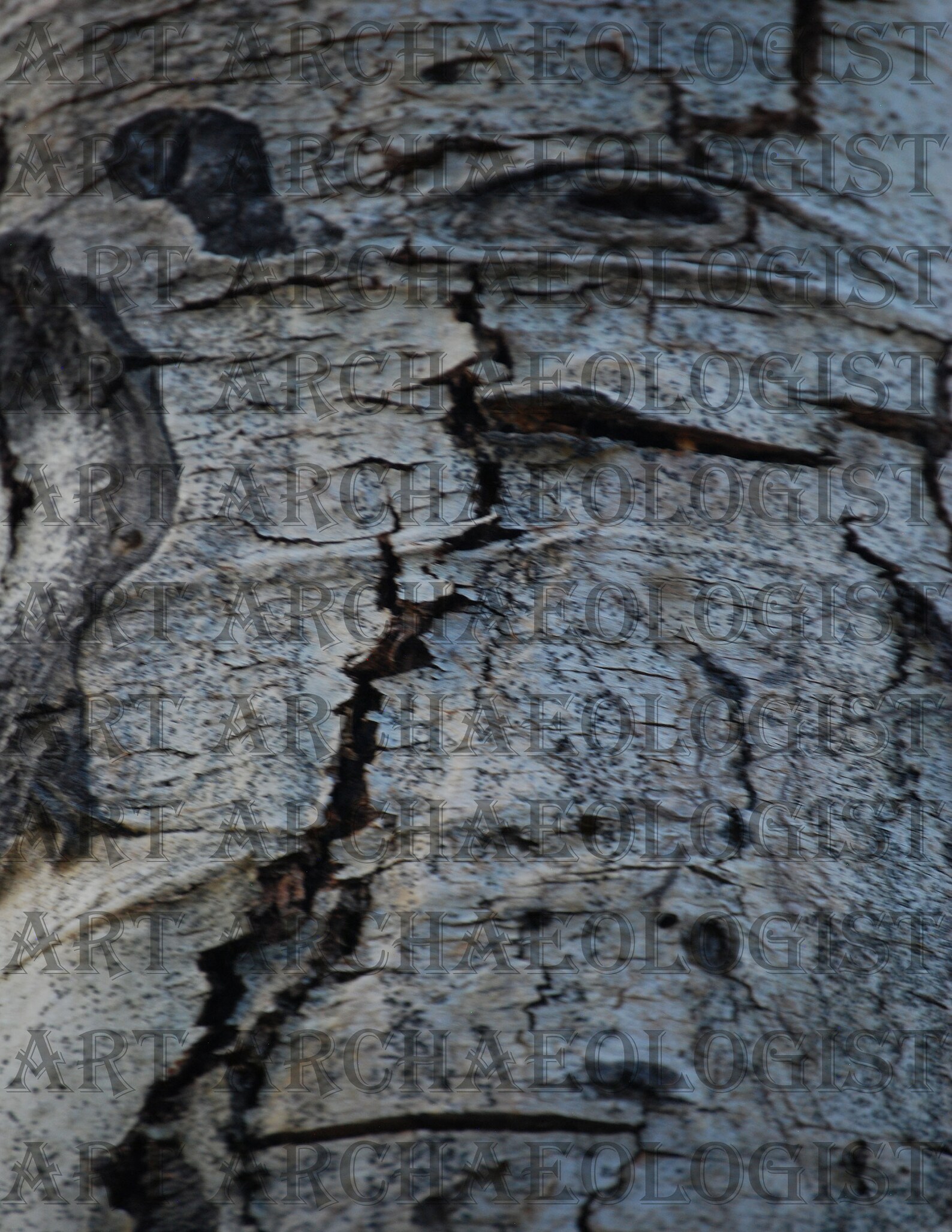 Aspen Tree Texture Kit 2 Designer Paper. Kit Includes 12 - 8.5 X 11 ...