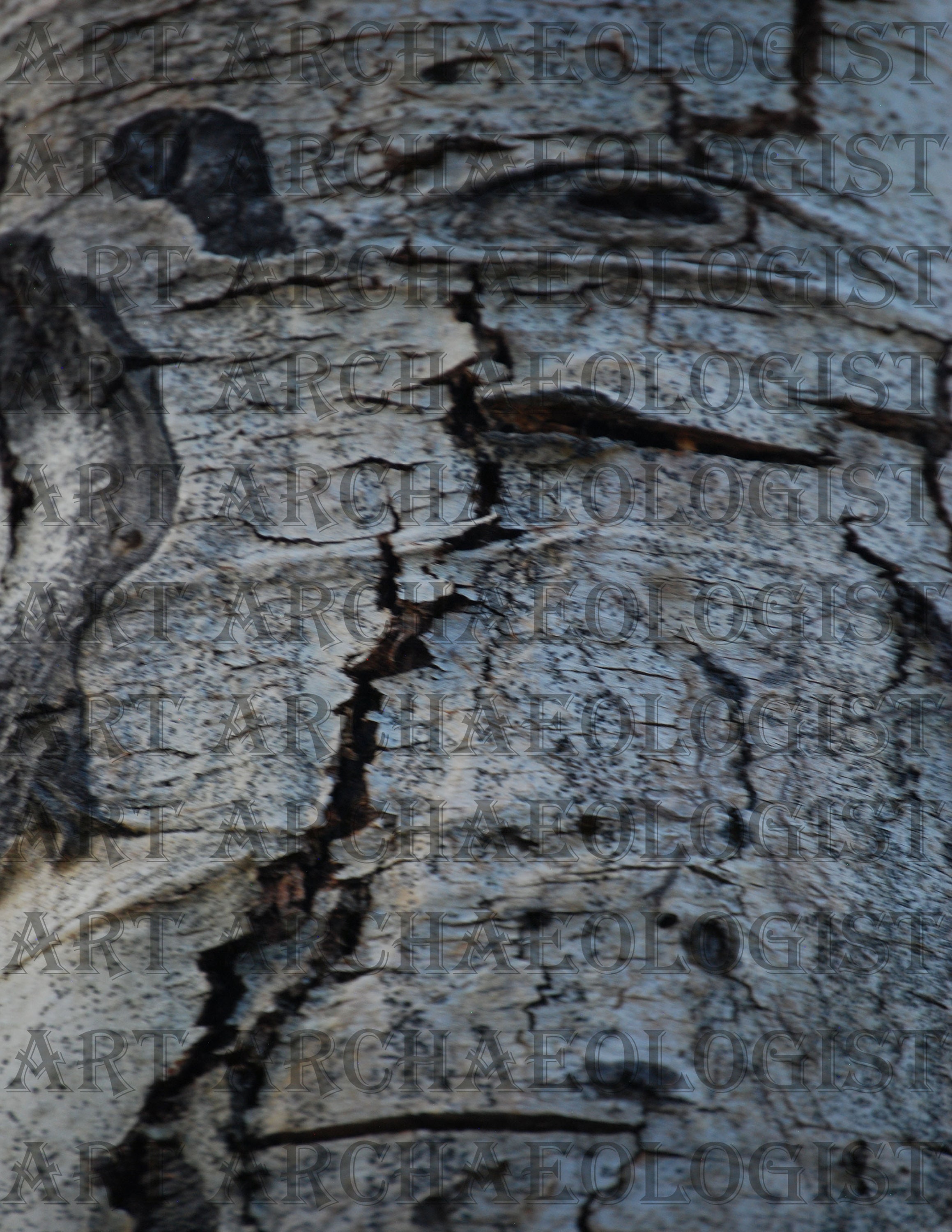 Aspen Tree Texture Kit 2 Designer Paper. Kit Includes 12 - 8.5 X 11 ...