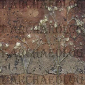 Handmade Cards. Rust Grunge Art Cards Set 2. 12 Raw Cards, 12 Art Cards ...