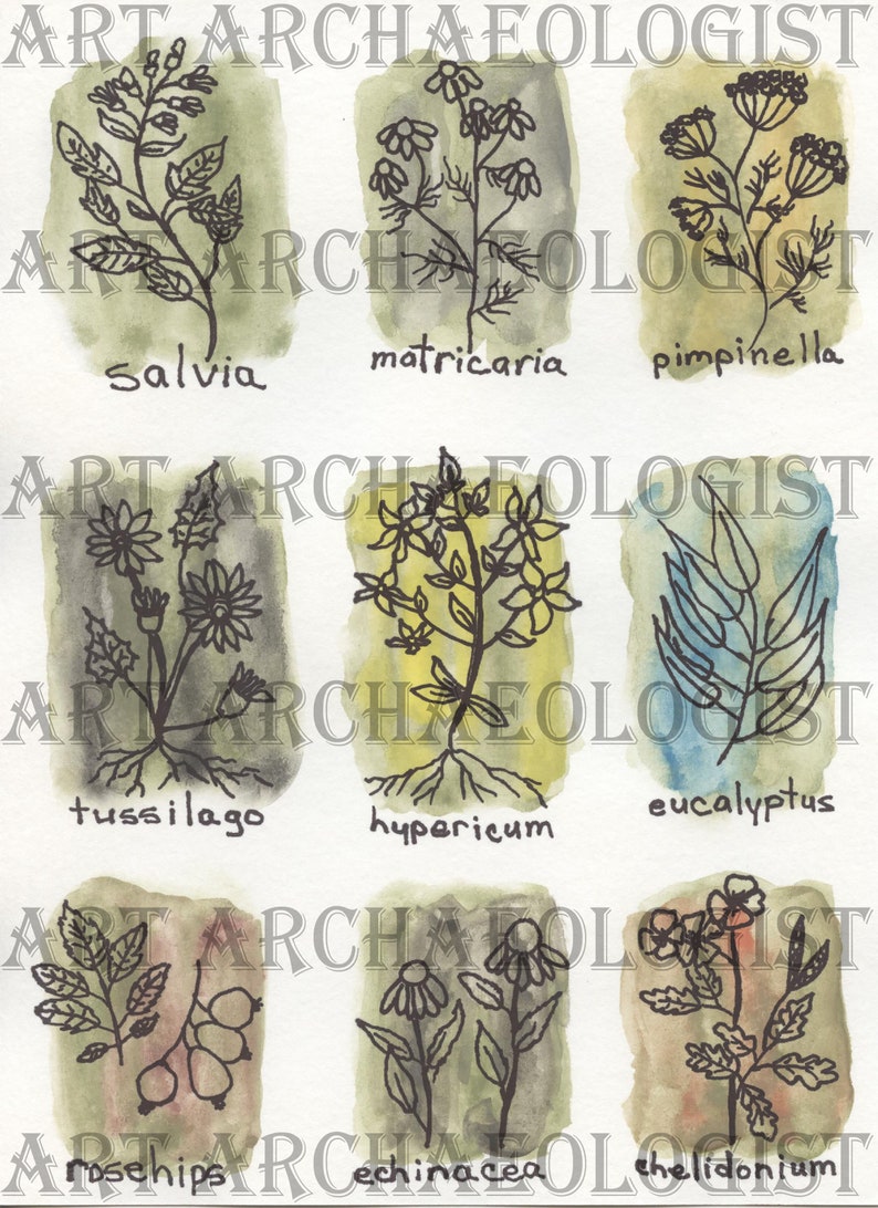 Zentangle Watercolor Sampler Kit. 51 Images, Various Sizes. 4 Zip Files ...