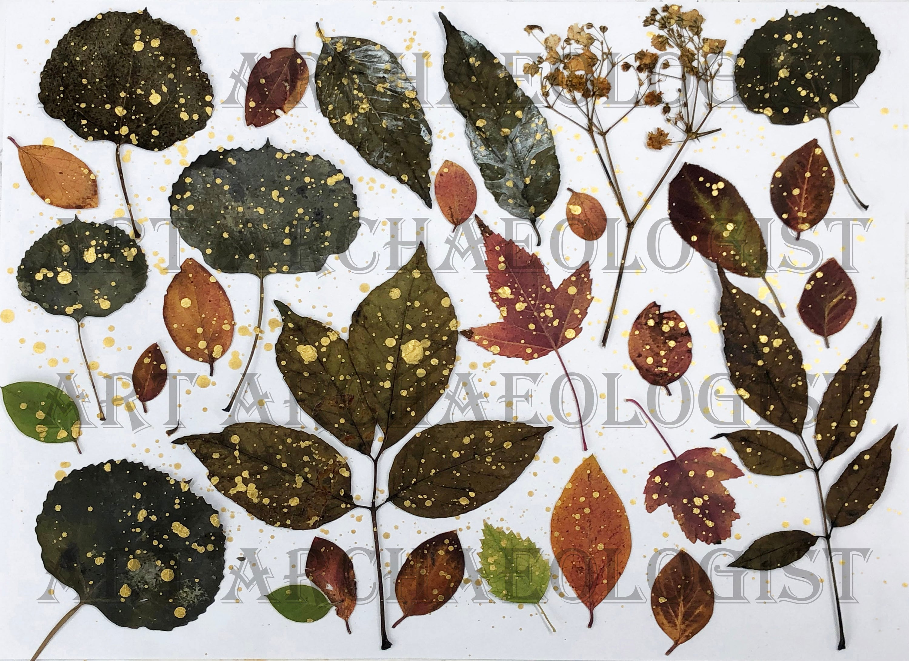 Pressed Leaf Printables. Leaf Photo Pages Kit 1. 30 - 8 X 11" Printable ...
