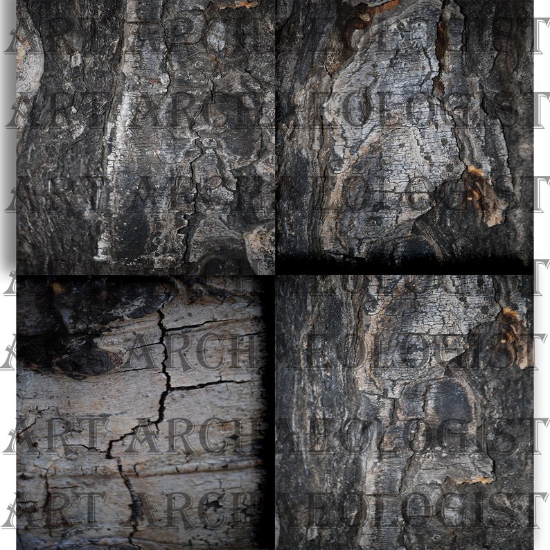 Aspen Tree Texture 1 Designer Paper. Kit Includes 12 - 8.5 X 11" Papers ...