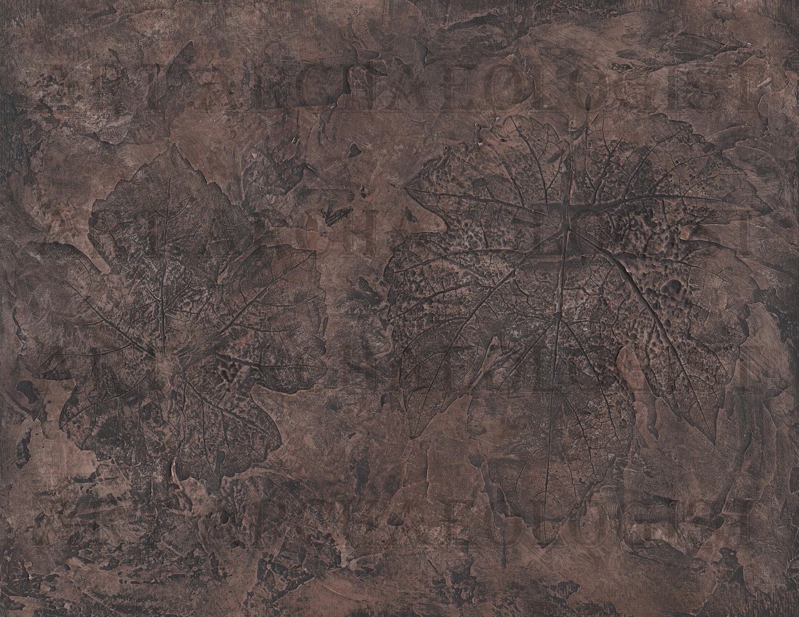 Venetian Leaves Kit 1 Designer Paper. 9 - 8.5 by 11 Inch Papers. 3 Zip ...