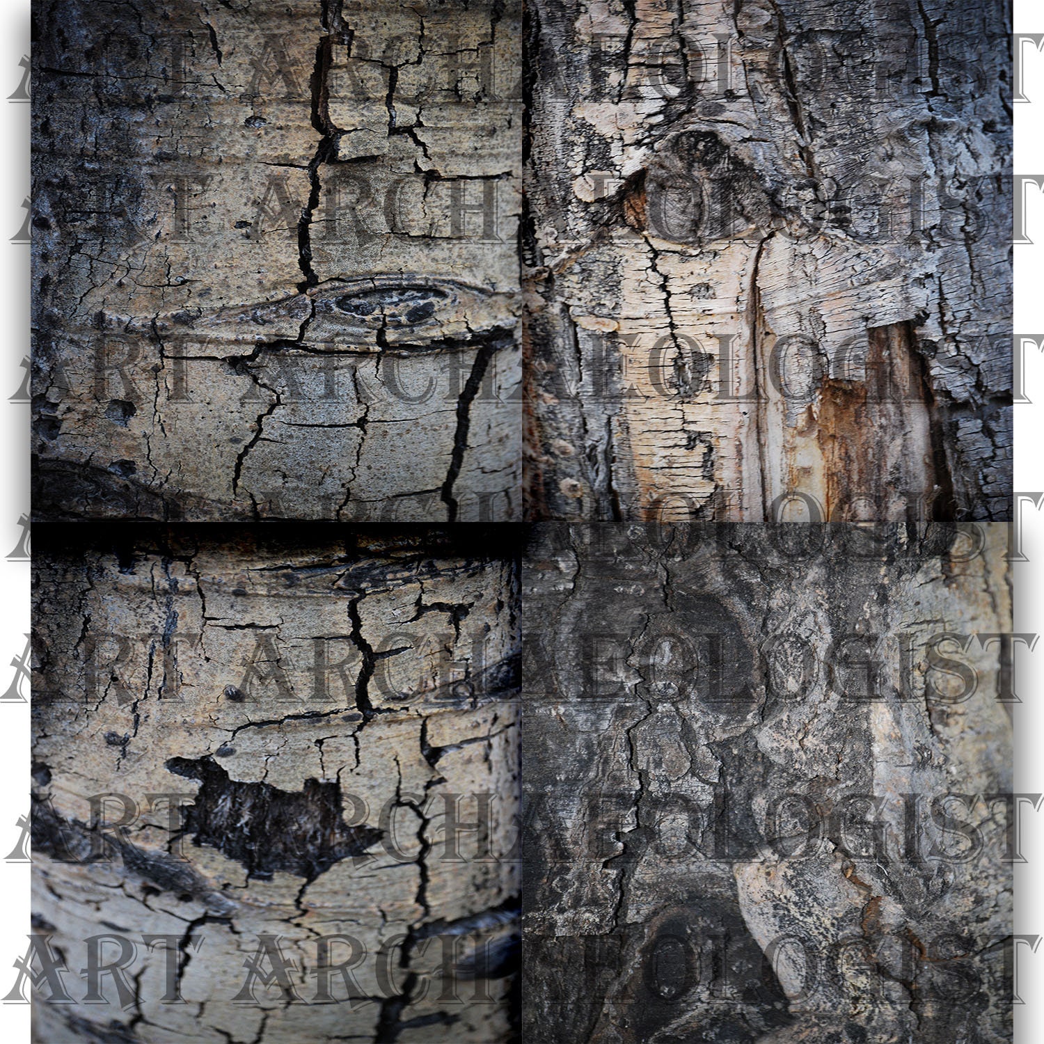Aspen Tree Texture 1 Designer Paper. Kit Includes 12 - 8.5 X 11" Papers ...