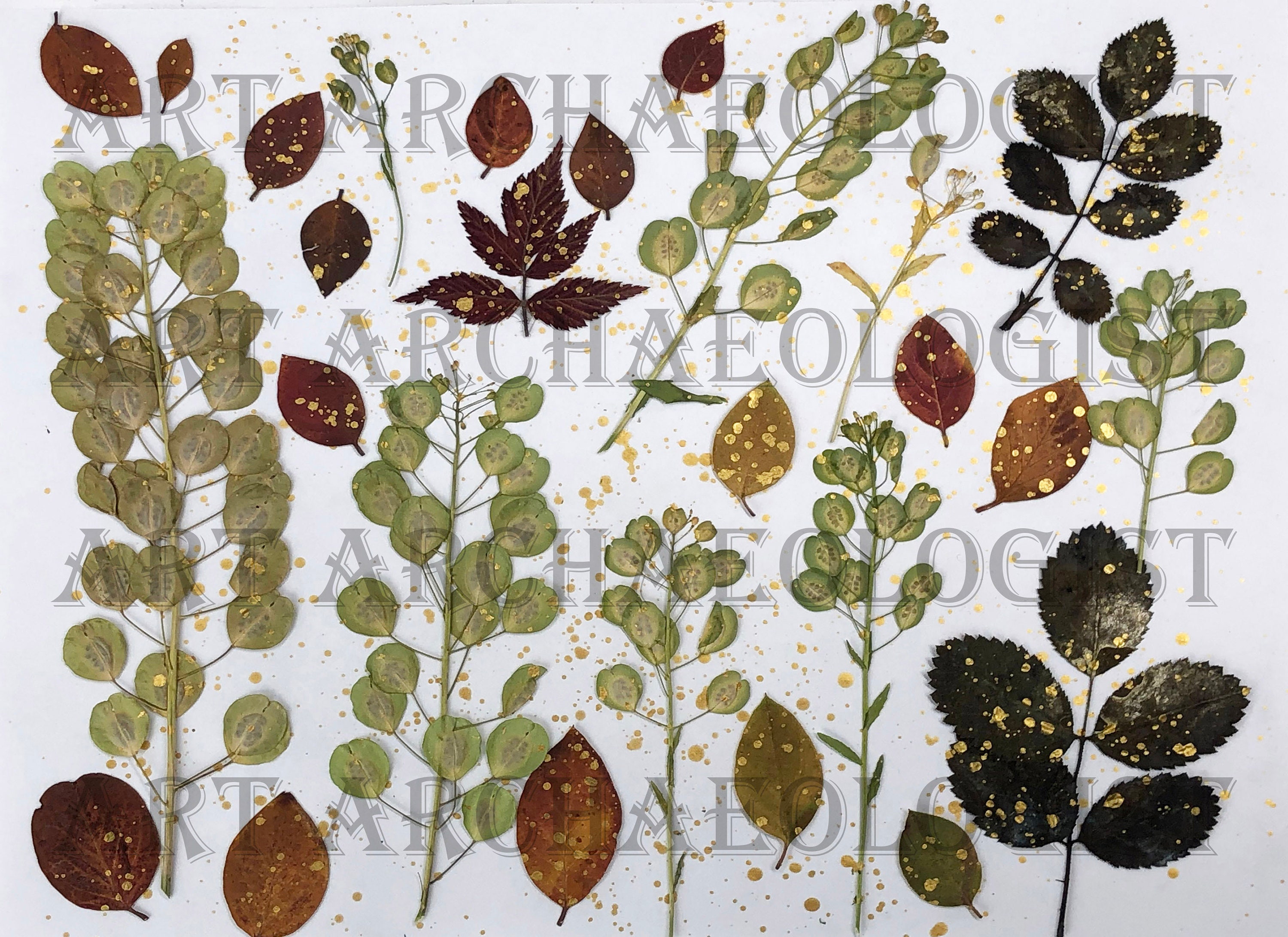 Pressed Leaf Printables. Leaf Photo Pages Kit 1. 30 8 X 11 Printable ...