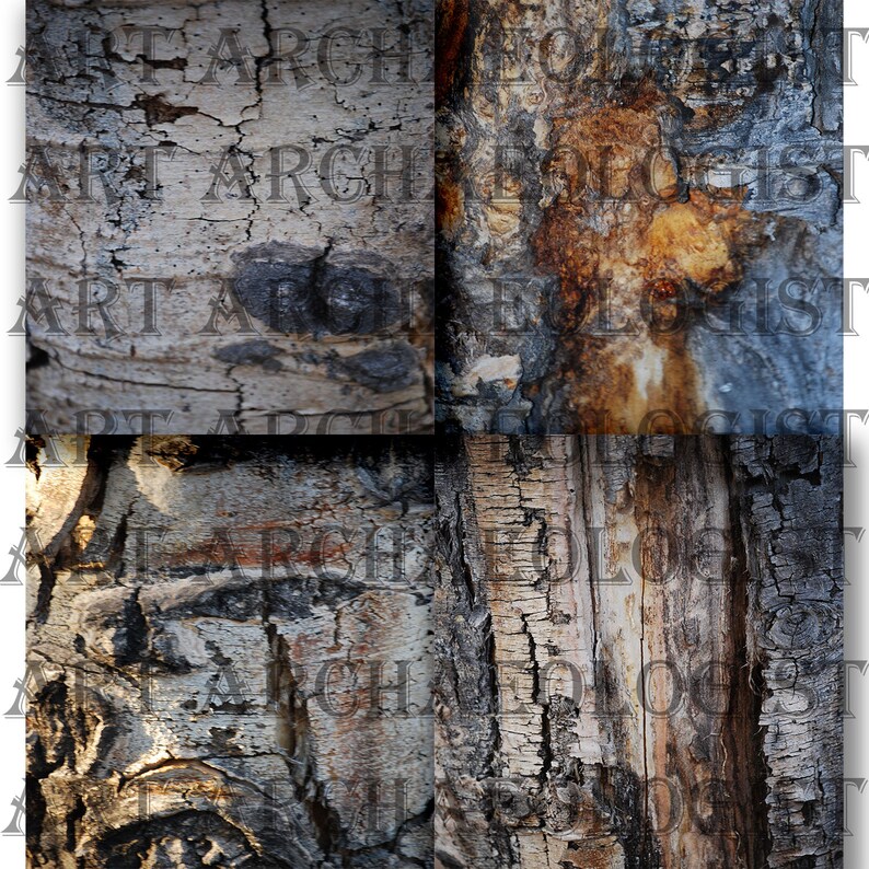 Aspen Tree Texture 1 Designer Paper. Kit Includes 12 - 8.5 X 11" Papers ...
