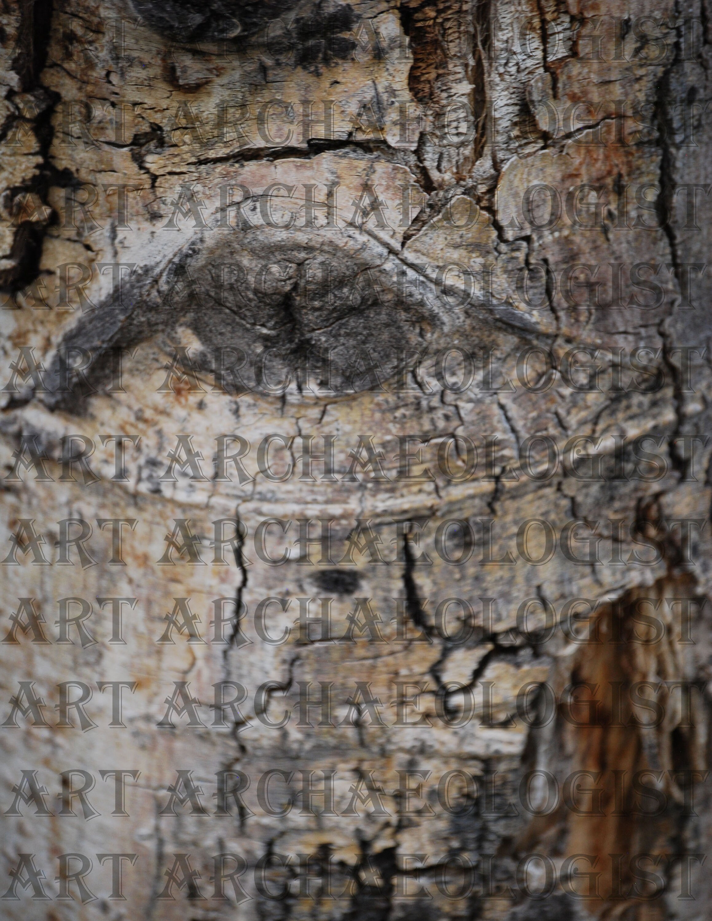 Aspen Tree Texture Kit 2 Designer Paper. Kit Includes 12 - 8.5 X 11 ...