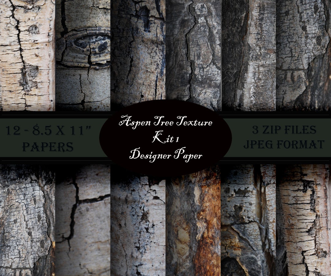 Aspen Tree Texture 1 Designer Paper. Kit Includes 12 - 8.5 X 11" Papers ...