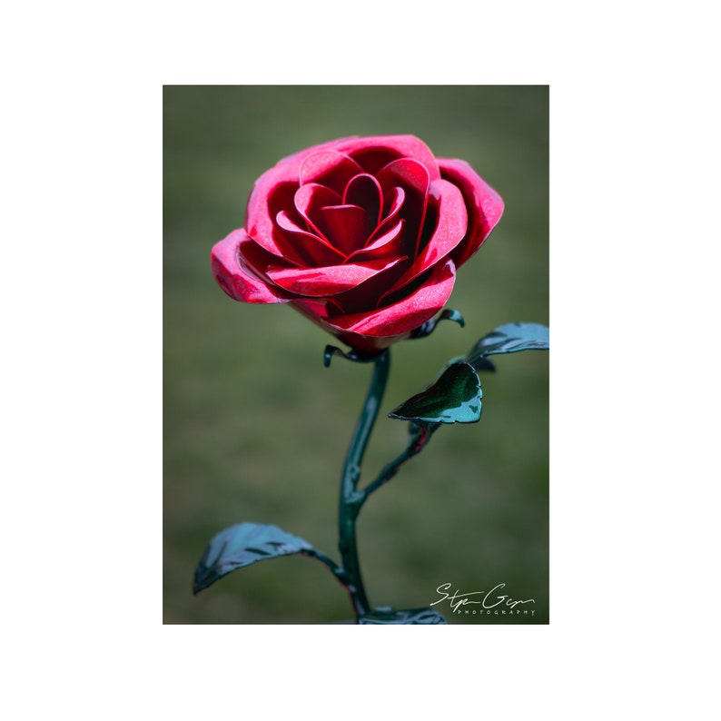 The Enchanted Aluma Rose Beauty and the Beast Replica With - Etsy