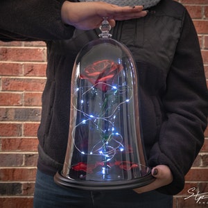 The Enchanted Aluma Rose Beauty and the Beast Replica With Engravings ...