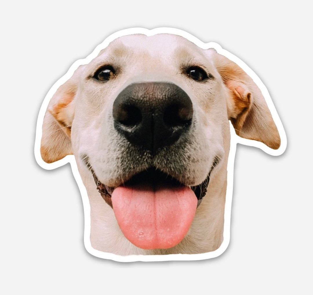 Yellow Lab Waterproof Sticker - Etsy