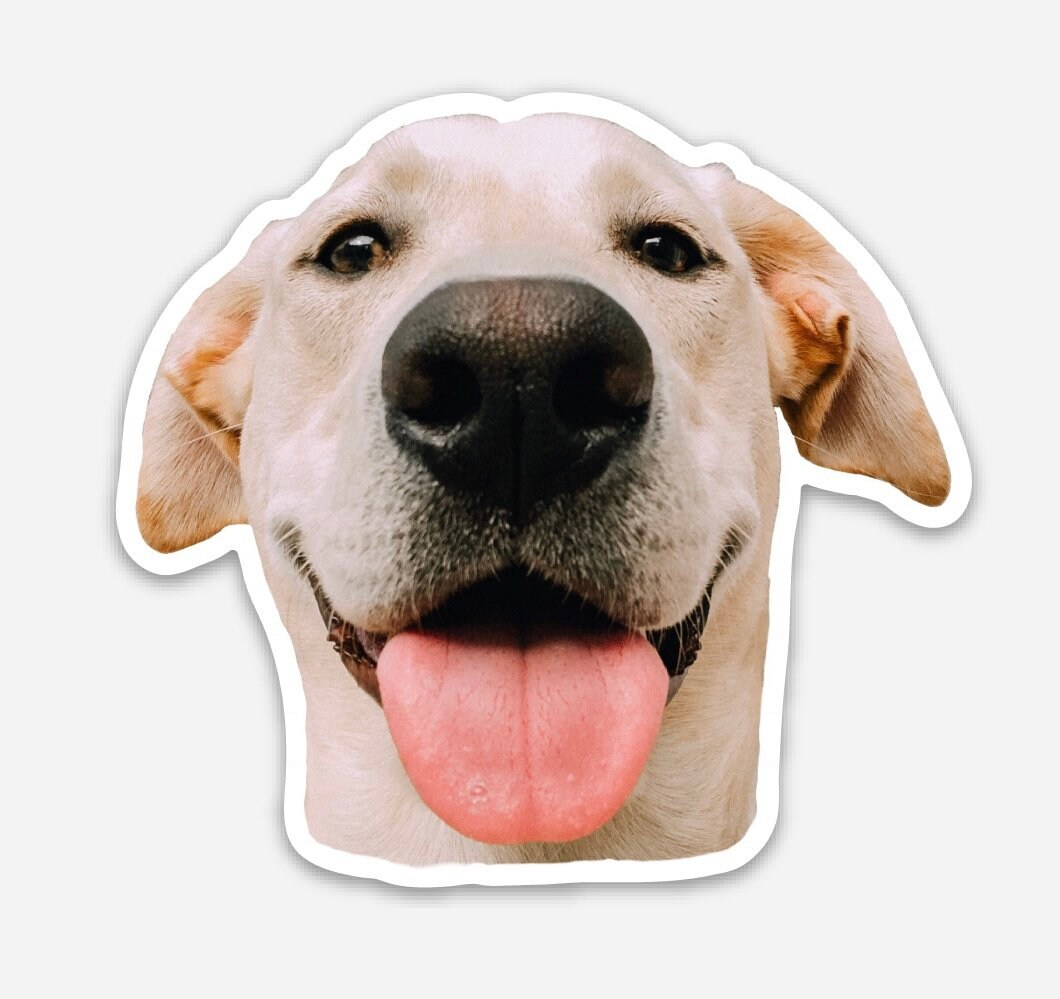 Yellow Lab Waterproof Sticker - Etsy