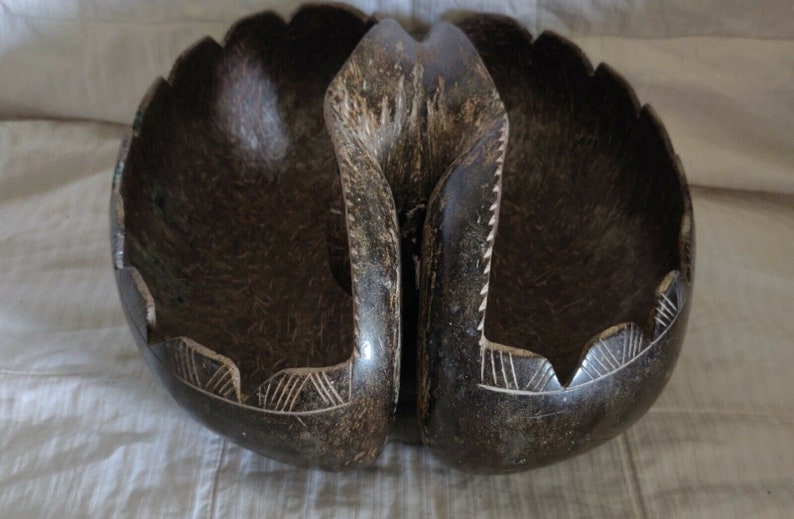 Antique Coco De Mer Seychelles Carved Hollowed Out Polished Basket - Etsy